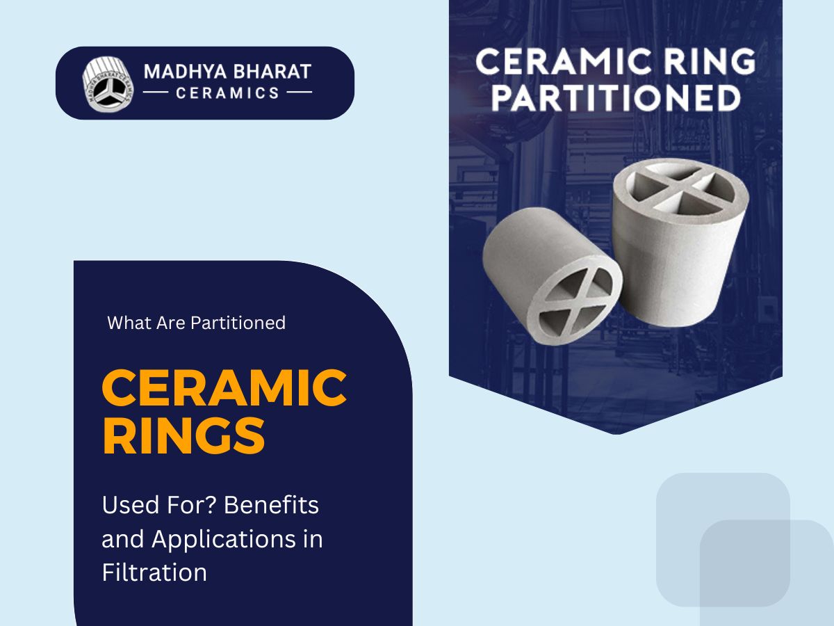 Partitioned Ceramic Rings for Filtration | Durable & Efficient